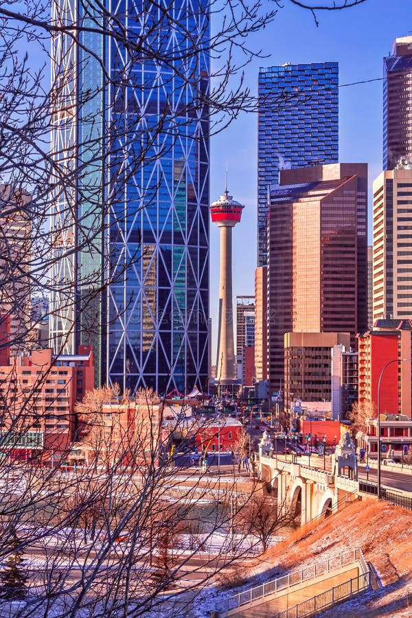 Calgary Tower Standing Tall between Buildings Stock Photo - Image of ...