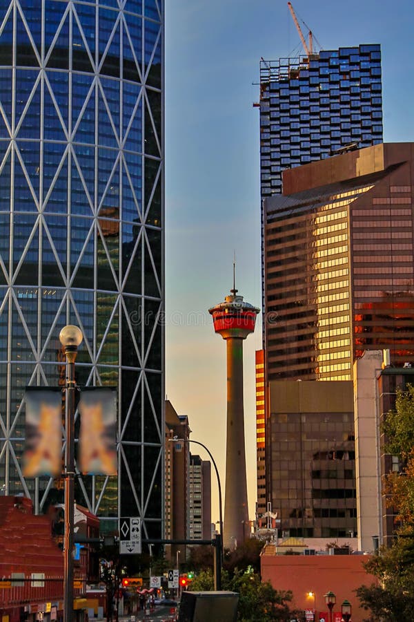 Calgary Tower Standing Tall Editorial Stock Image - Image of dawn ...