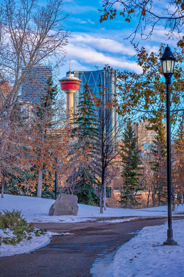 Calgary Tower View from a Winter Park Stock Photo - Image of snow ...