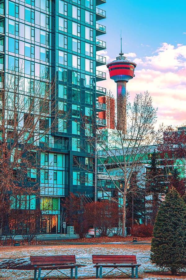 Calgary Tower Views from Central Memorial Park Editorial Stock Photo ...