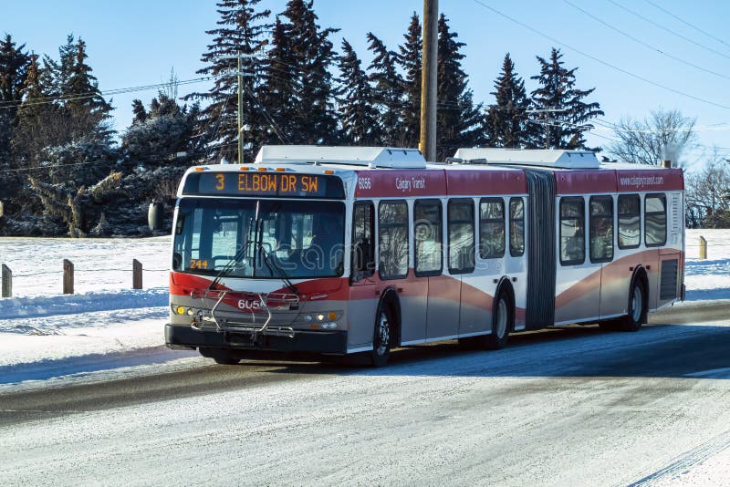 A Calgary Transit Double Bus during Winter Time in the Afternoon ...