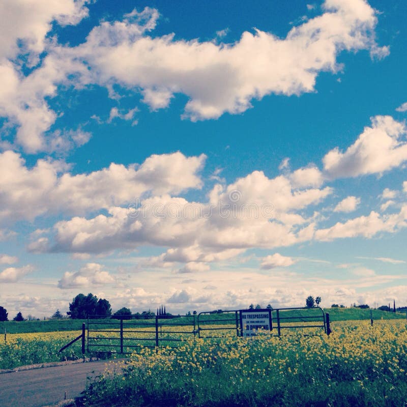 Cali Sky stock image. Image of cloudy, cali, skies - 51077567