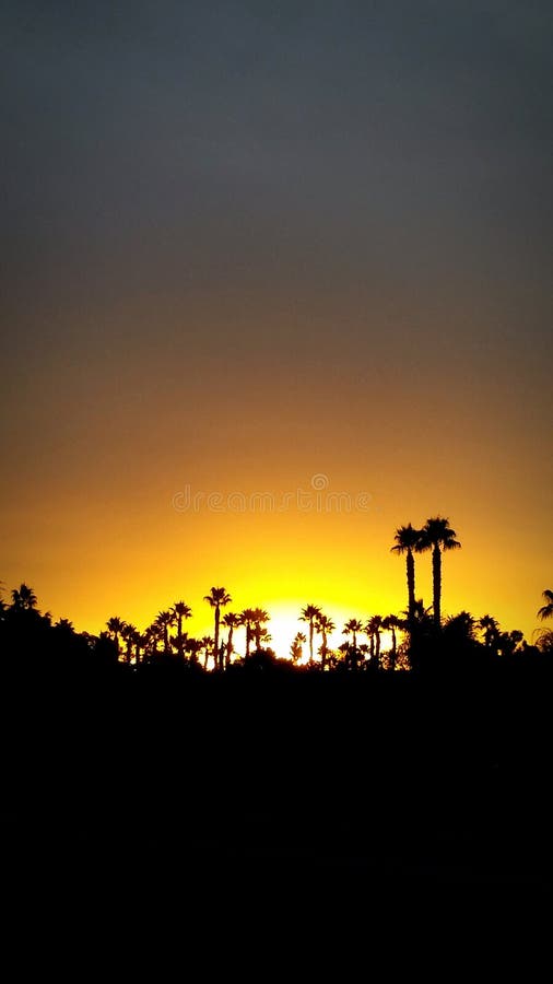 Cali sunrise stock image. Image of palm, peaceful, trees - 47879127