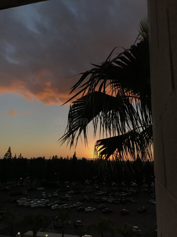 Cali sunset stock image. Image of beach, sunset, cali - 251671637