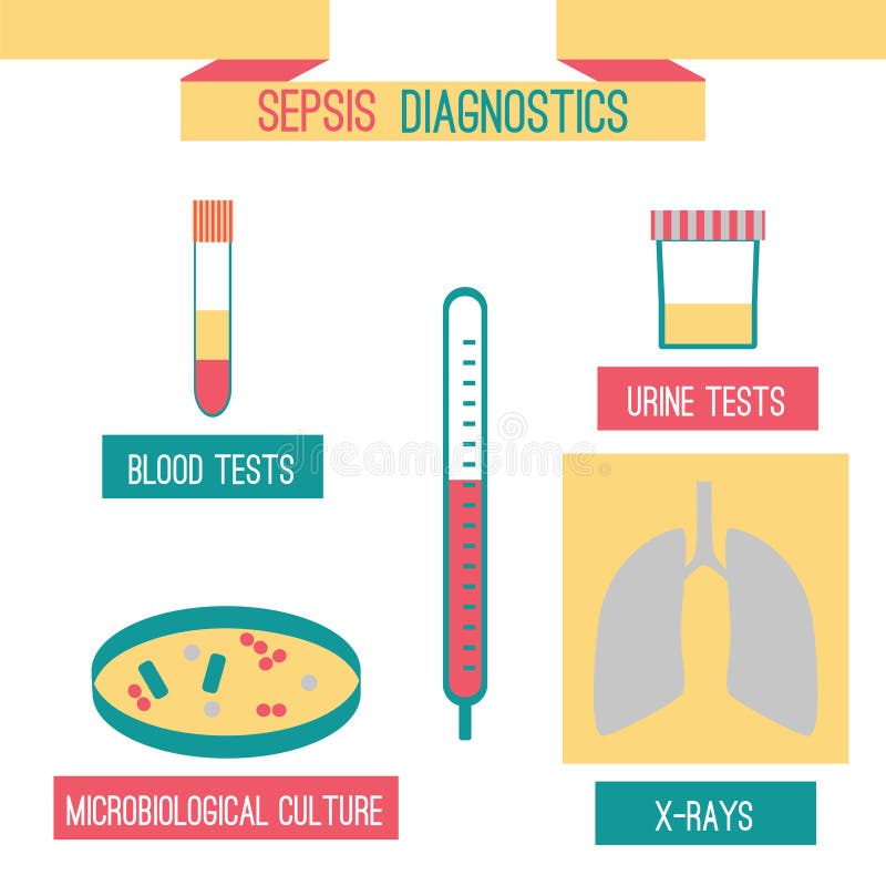Calibre D'infographics De Diagnostics De Septicité Illustration de ...