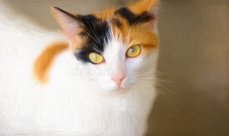 Calico cat with big eyes stock photo. Image of whiskers - 203276460