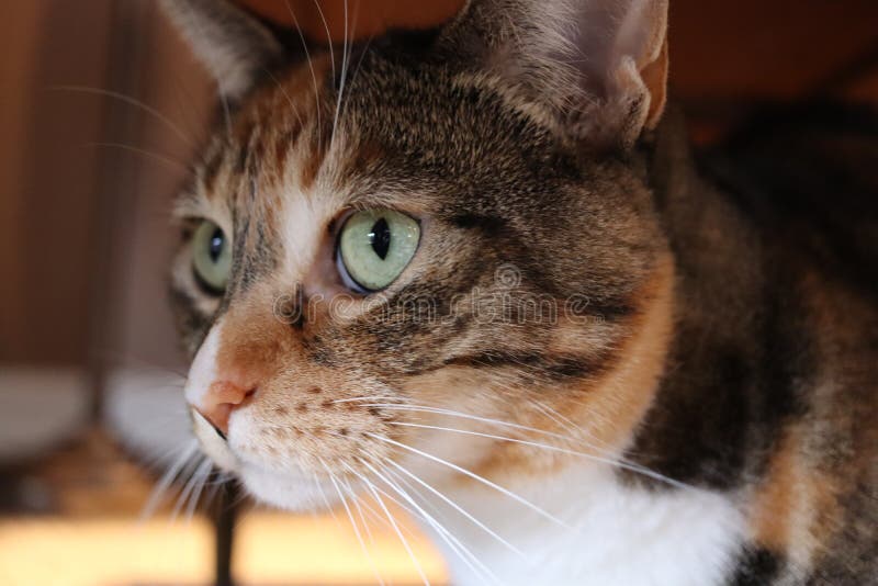 Tori Wentz (Tallshiptori) - Photographer profile