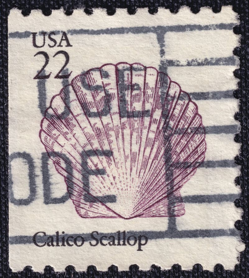Calico Scallop Seashell on a 1985 USA Vintage Postage Stamp Editorial ...