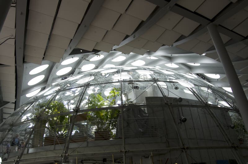 California Academy of Sciences Editorial Stock Image - Image of ceiling ...