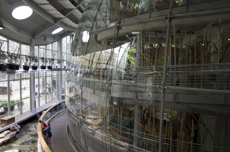 California Academy of Sciences Editorial Photo - Image of indoor, steel ...