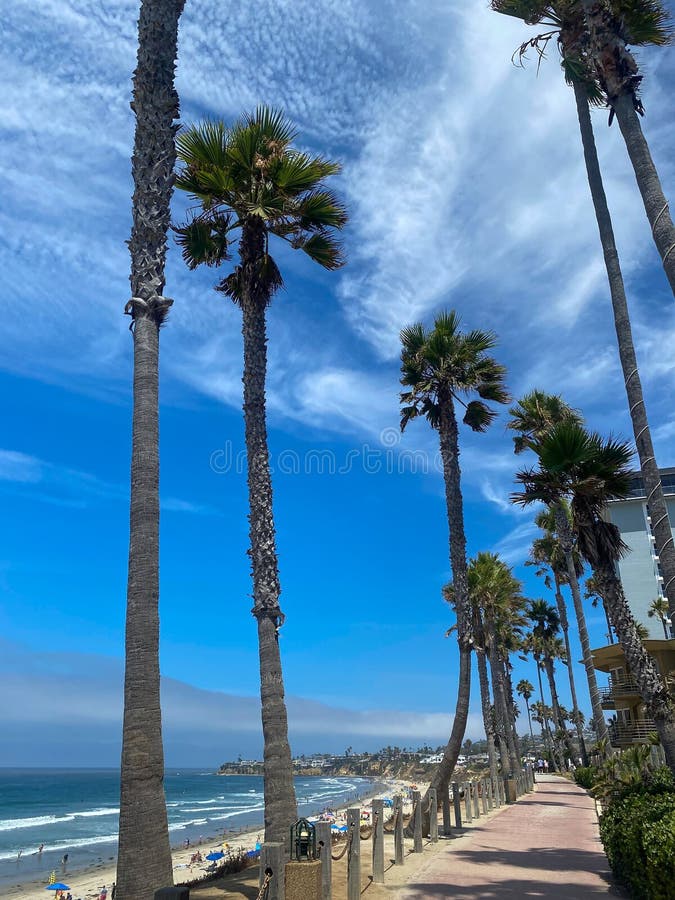 California Beach with Palm Trees on Brick Path Stock Image - Image of ...