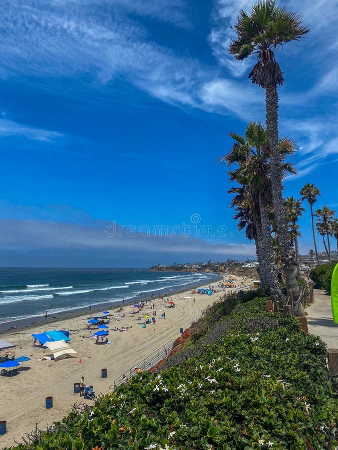 California Beach Shoreline with Beach Goers and Palm Trees on the Path ...