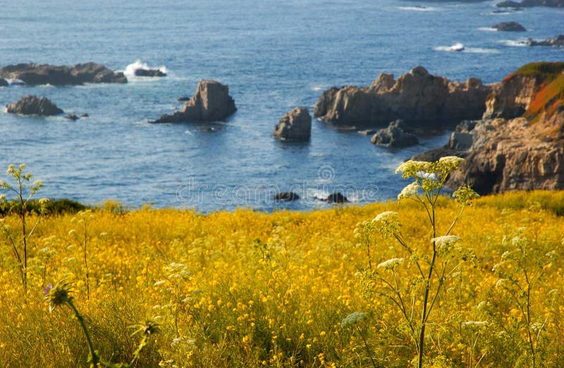 California coast stock image. Image of mountain, rocky - 2602131