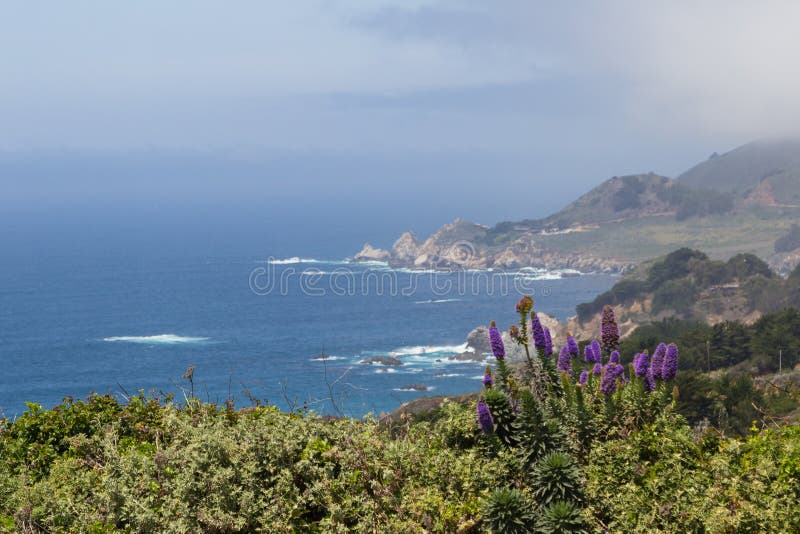 California Coast stock image. Image of green, view, drama - 56380741