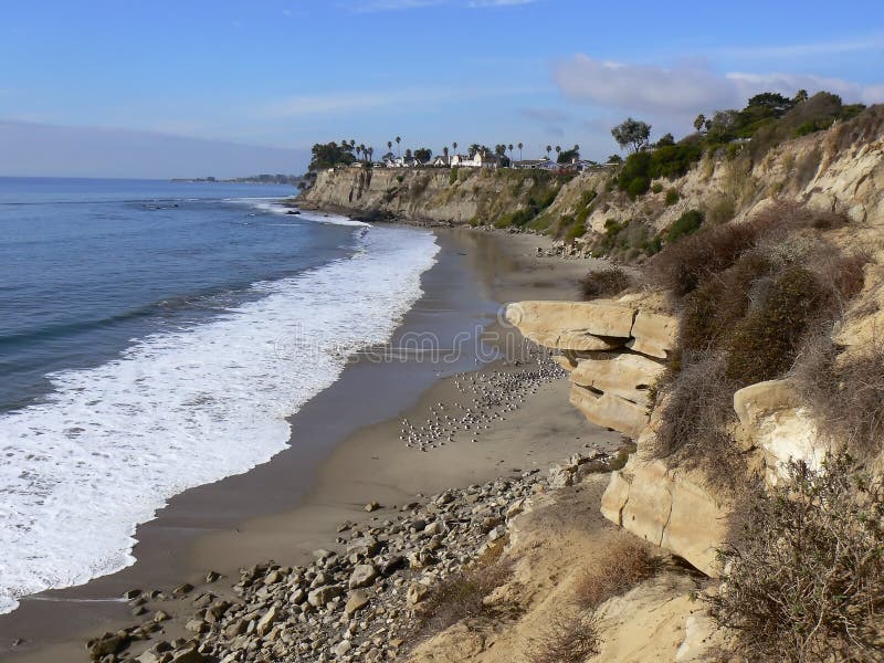 California Coast line stock image. Image of cove, palm - 11492995