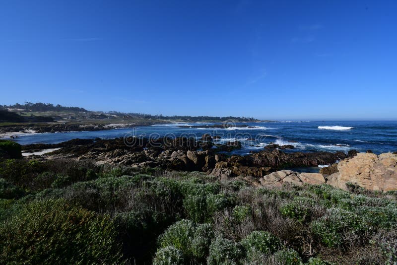 California Highway 1 Spring Time Stock Photo - Image of california ...