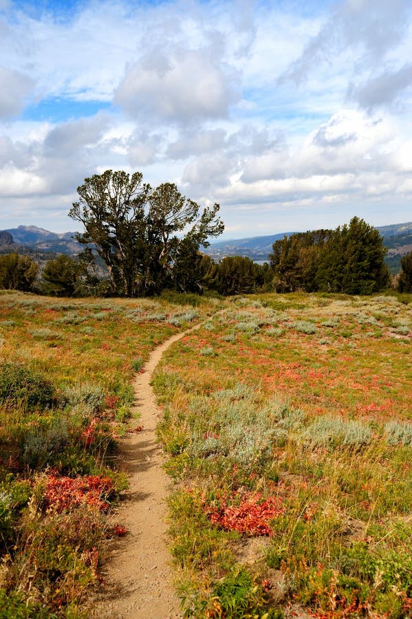 California Hiking Trail stock photo. Image of green, nevada - 25779318
