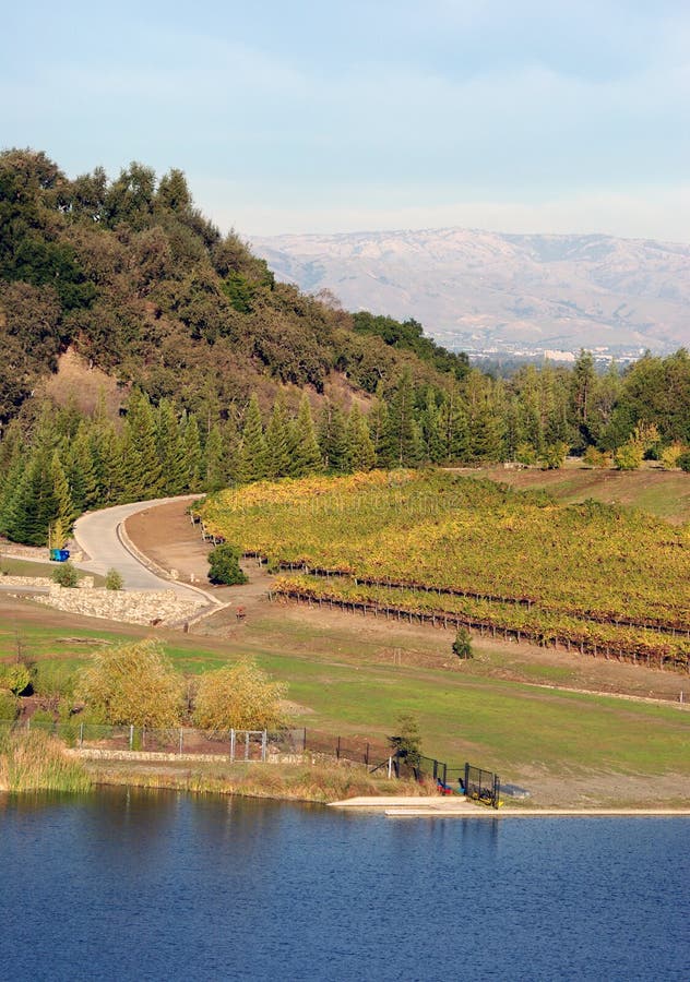 California hills stock photo. Image of color, plant, fence - 11893476