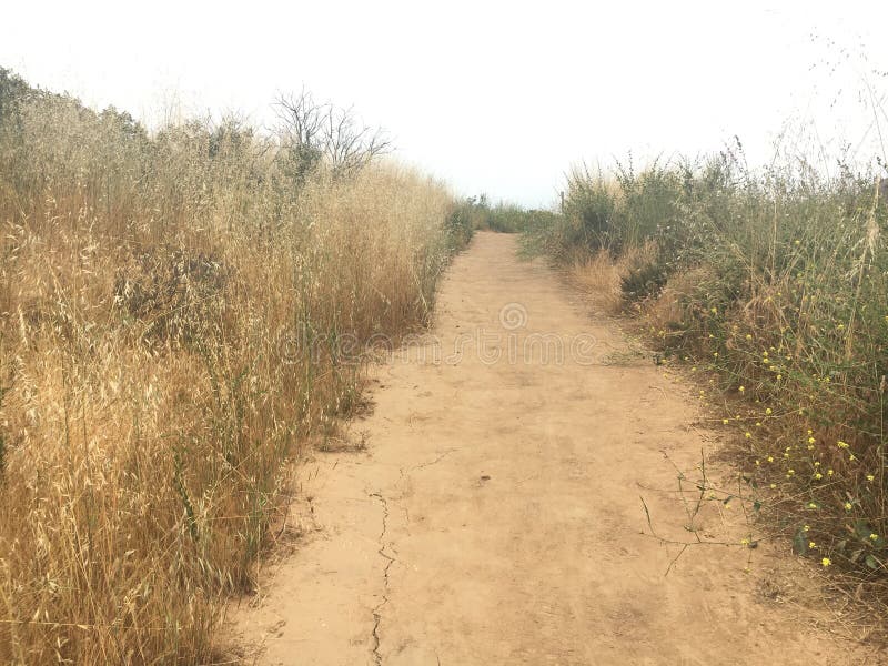 Desert hiking trail stock photo. Image of trail, desert - 123365468