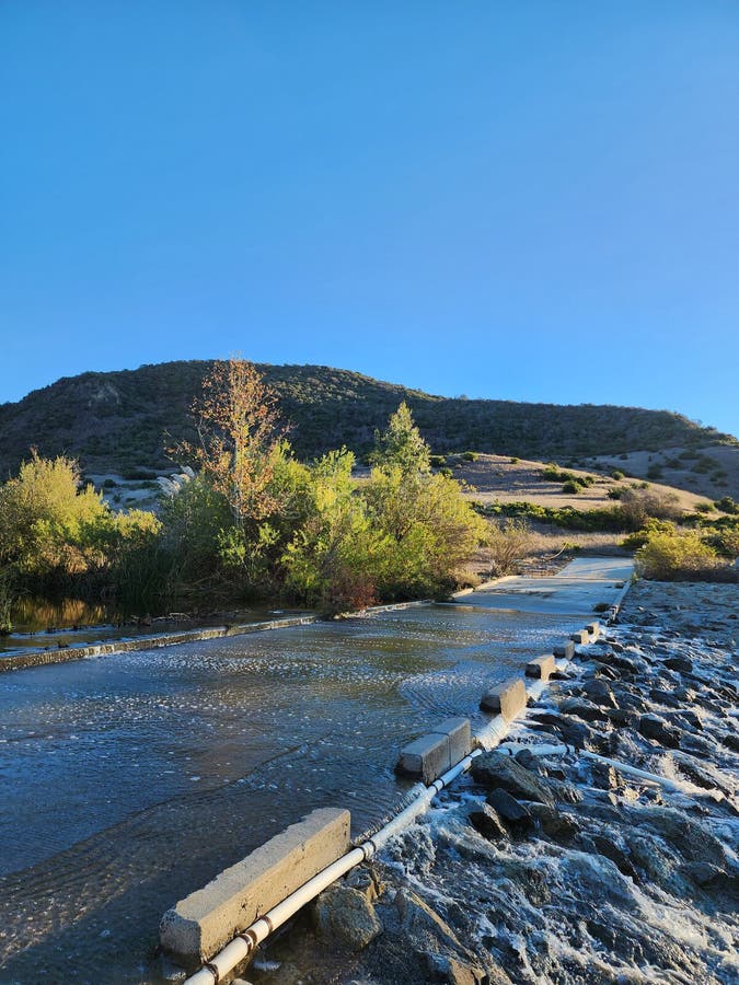 California Nature Hike stock photo. Image of plant, formation - 261135510