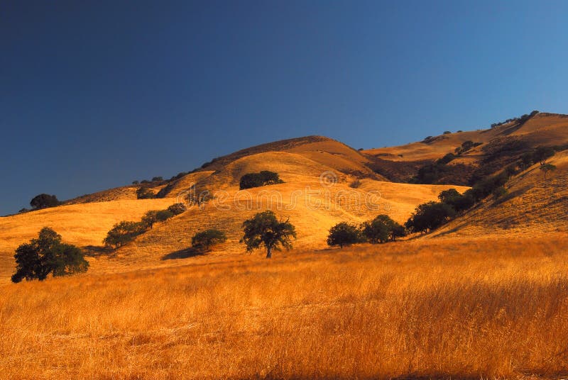 California Landscape stock image. Image of ranching, grasses - 30114627
