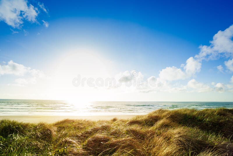 California Ocean Beach through Grass on Sand Dune Stock Photo - Image ...
