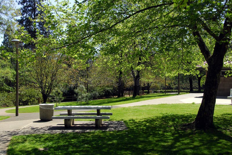 California Rest Stop stock image. Image of trees, foliage - 2271755