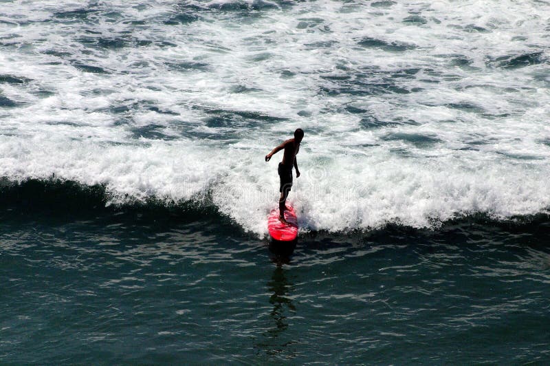 California Surfer Boy stock image. Image of surfer, surfing - 986463