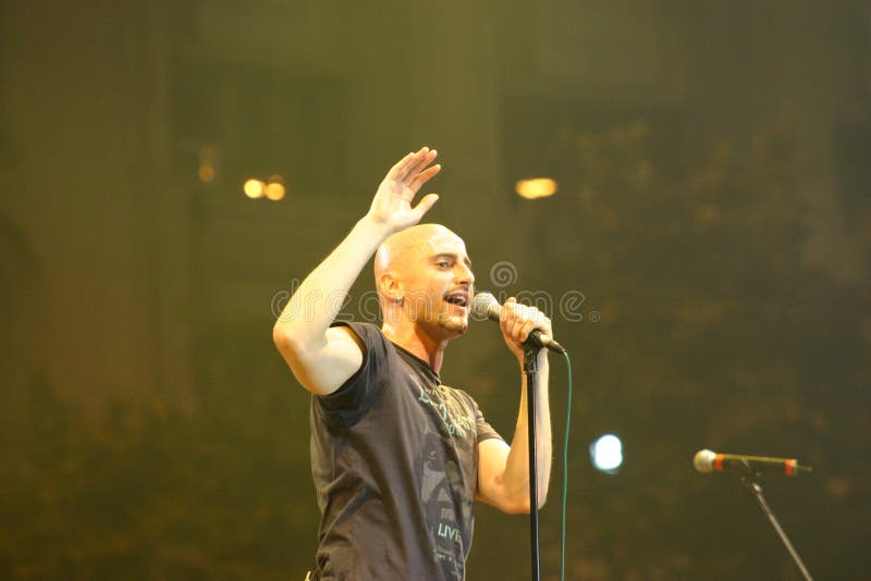 Calin Goia editorial image. Image of fameous, artist - 28631995