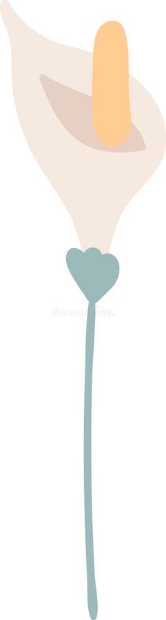 Calla Flower Icon stock vector. Illustration of design - 303262538