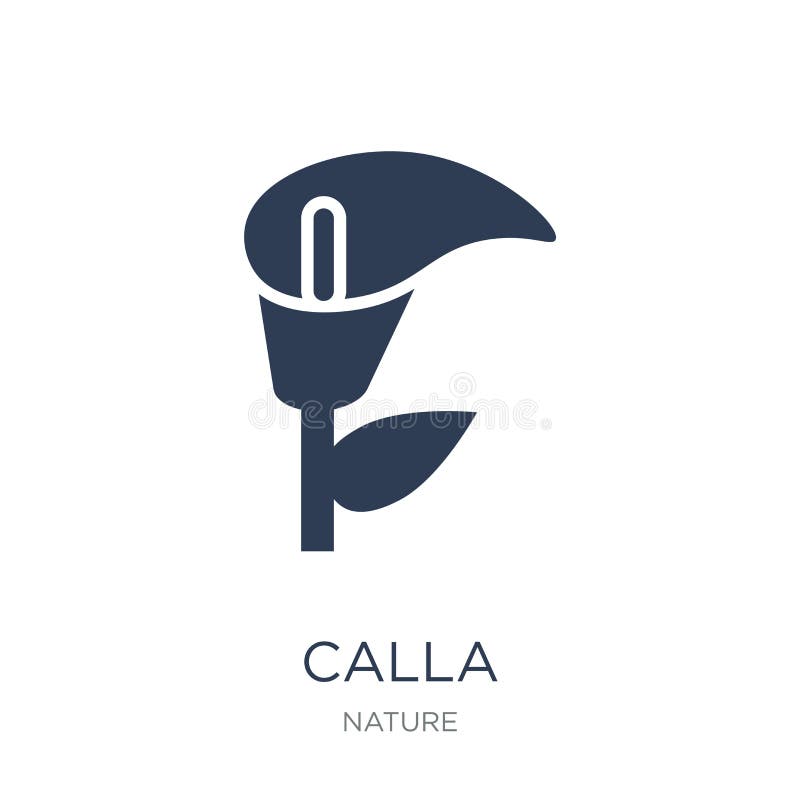 Vector Calla Lily Flower. Icon in Flat Style Stock Vector ...
