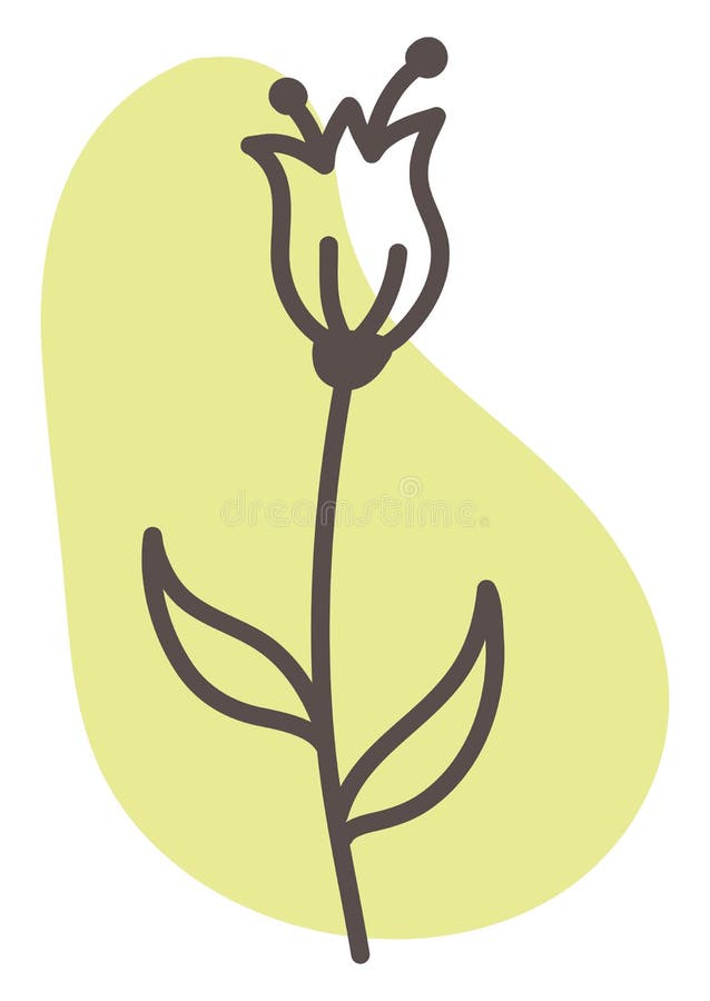 Calla lili flower, icon stock vector. Illustration of abstract - 260375608