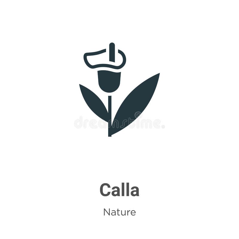 Calla Vector Icon on White Background. Flat Vector Calla Icon Symbol ...