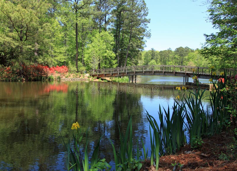 Callaway bridge stock image. Image of scenery, azalea - 32952449