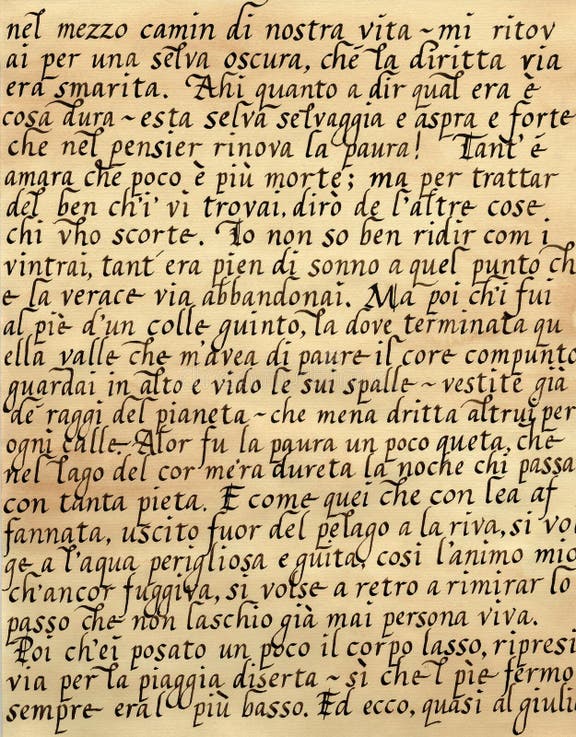 Calligrafia italiana illustrazione di stock. Illustrazione di ...