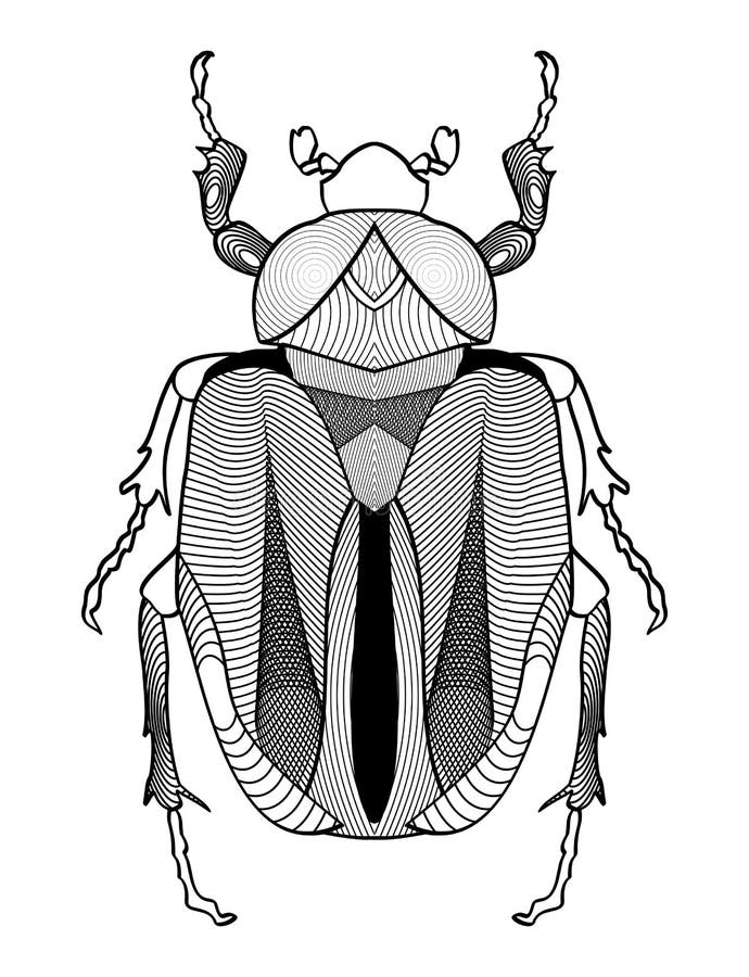 Calligraphic Beetle Drawing in Black and White. Beetle Shape Decorated ...