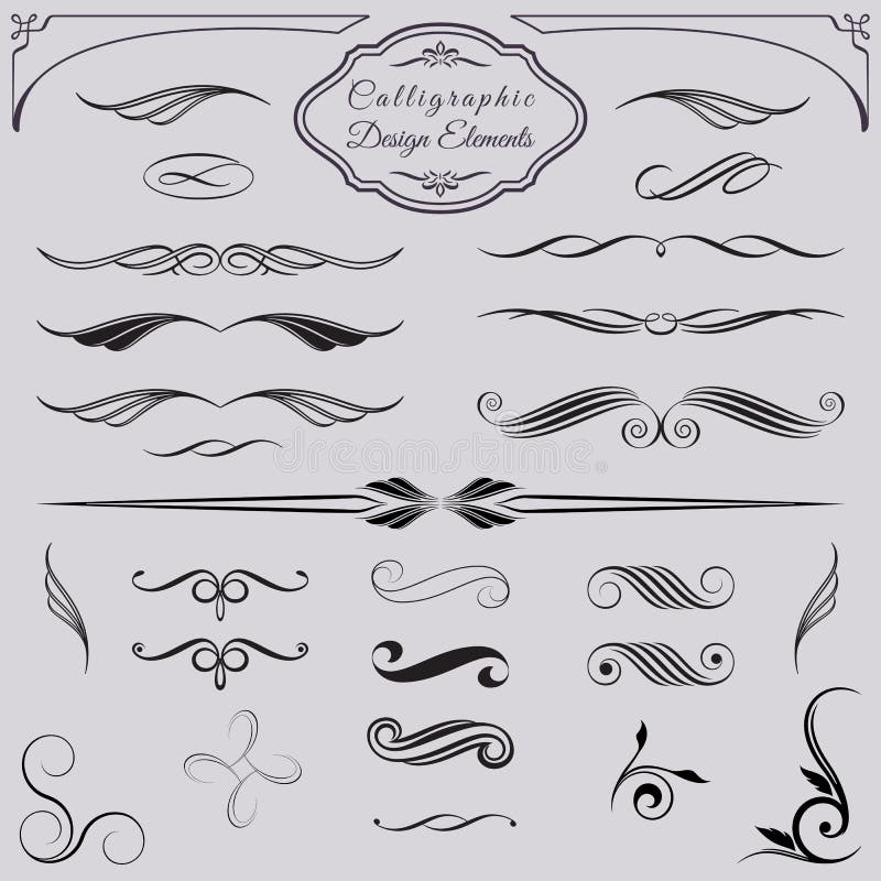 Calligraphic Decorative Design Elements Stock Vector - Illustration of ...
