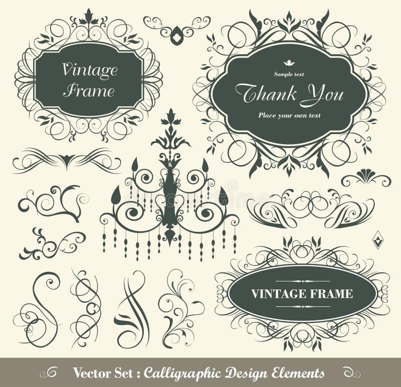 Calligraphic Design Elements Stock Vector - Illustration of book ...