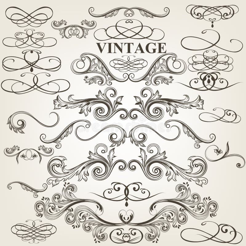 Set of Calligraphic Swirl Element Stock Vector - Illustration of floral ... Set of Calligraphic Swirl Element Stock Vector - Illustration of floral ...