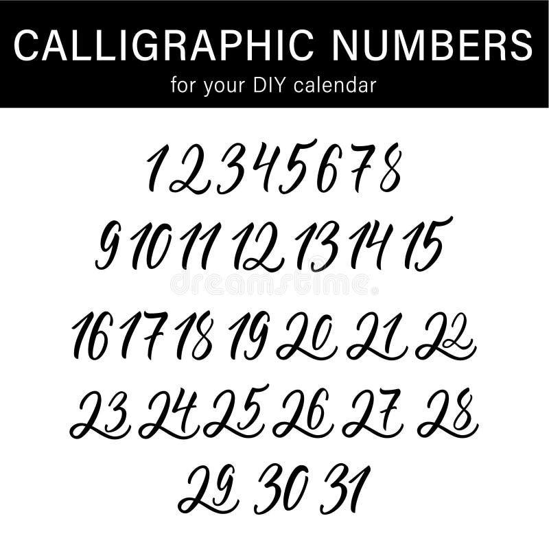 Elegant Calligraphic Script Font Typeface Letters Numbers Stock ...