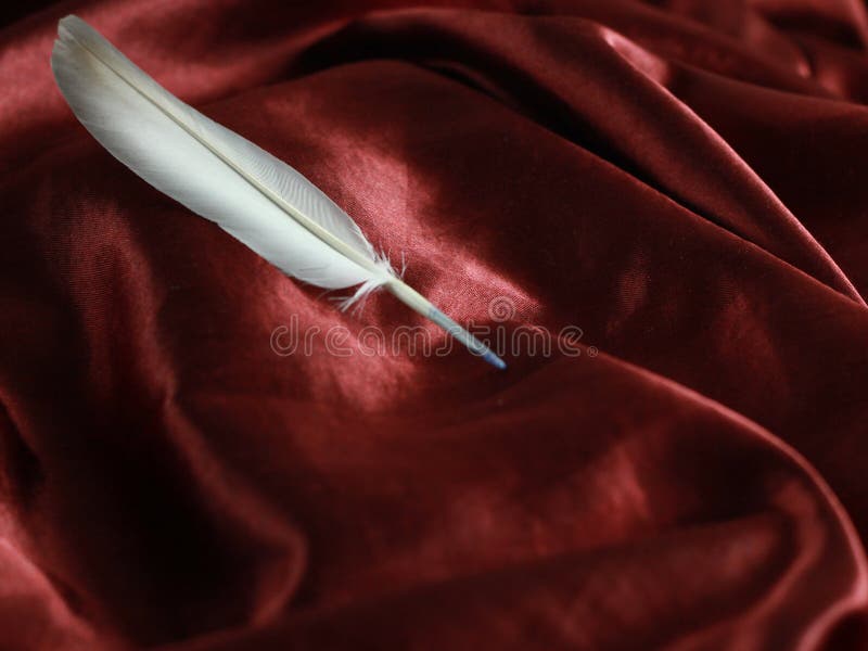 Luxurious Quill Full View on Red Silk Fabric Stock Photo - Image of ...