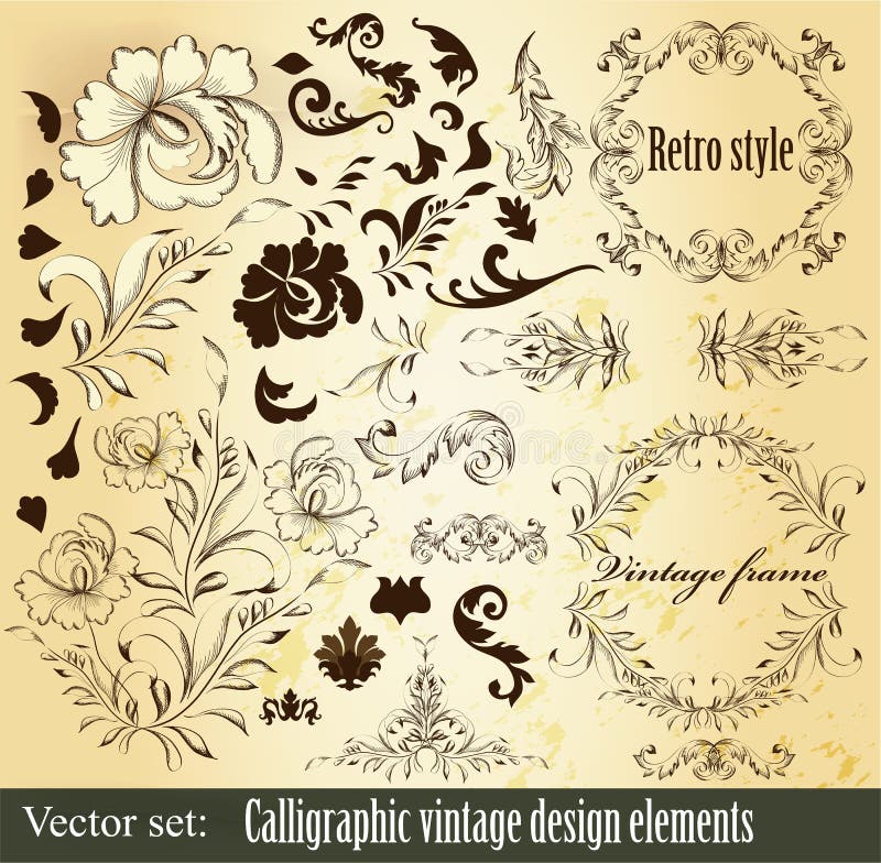 Vintage Calligraphic Design Elements and Page Decoration Stock Vector ...