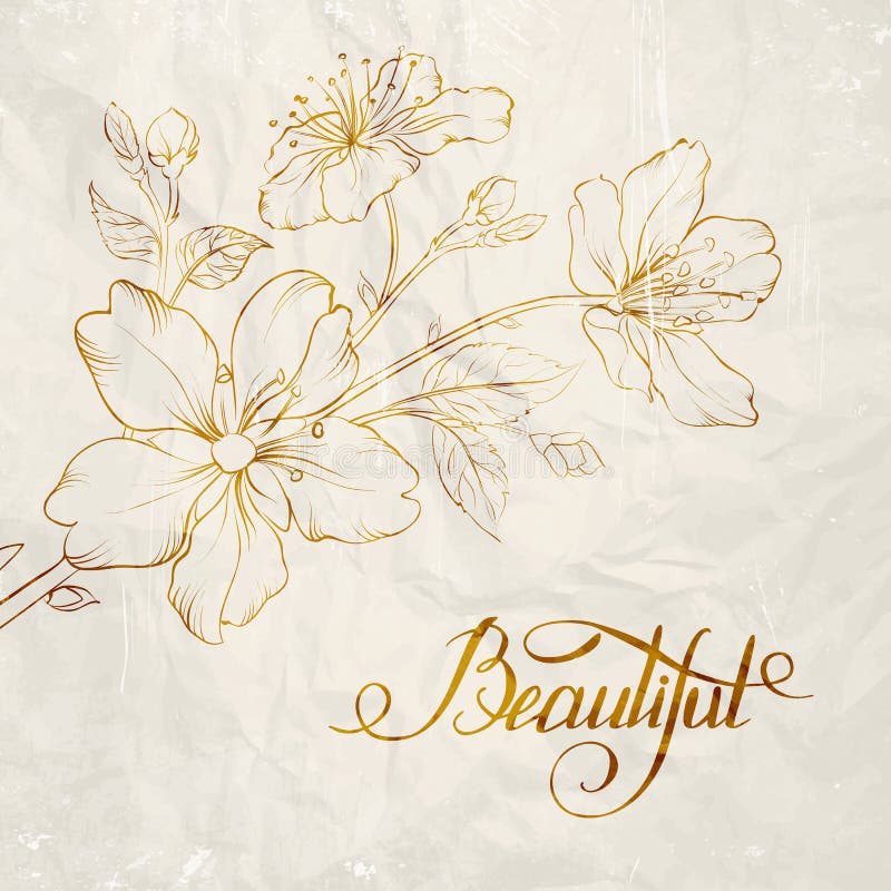 Calligraphy Cherry Blossom. Stock Vector - Illustration of flower ...