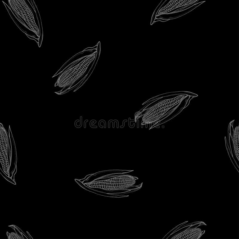 Calligraphy corn poster stock vector. Illustration of harvest - 127403727