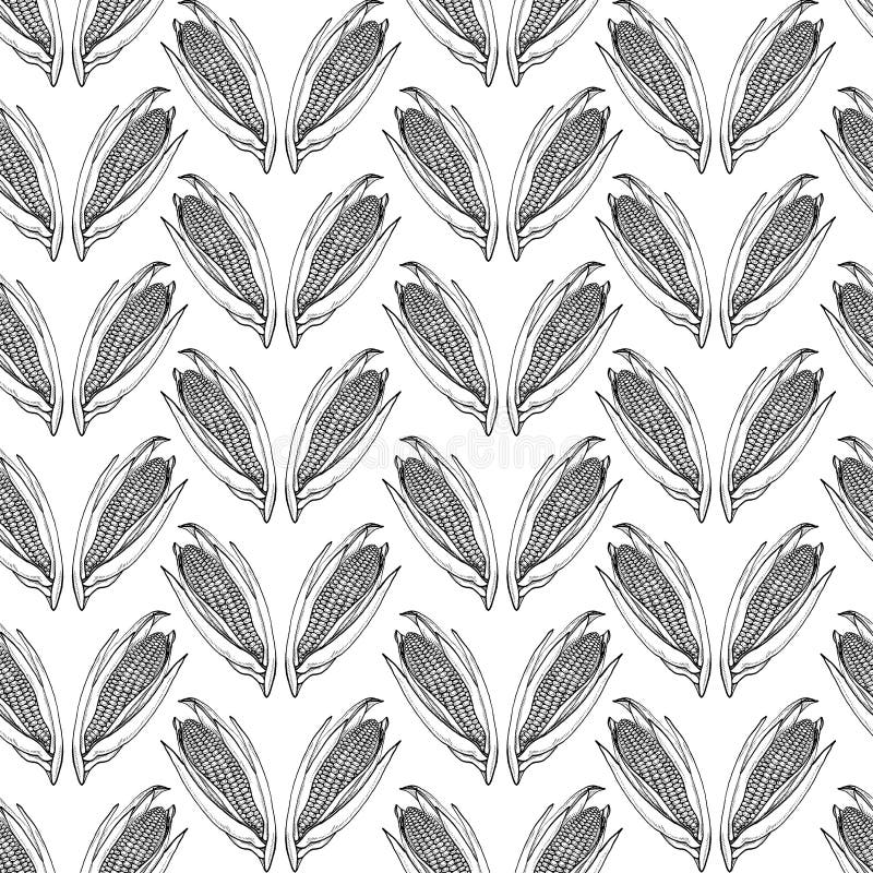 Calligraphy corn poster stock vector. Illustration of harvest - 127403727