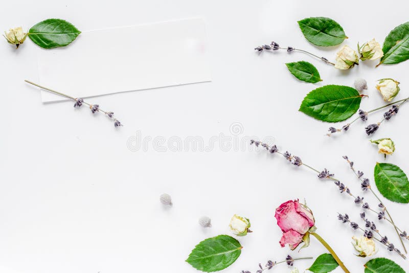 Calligraphy Floral Pattern Top View Mock Up Stock Photo - Image of view ...