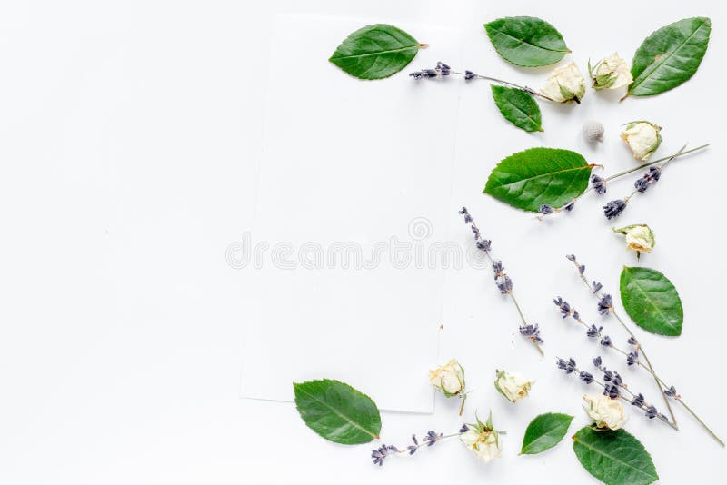 Calligraphy Floral Pattern Top View Mock Up Stock Photo - Image of ...