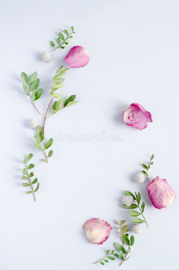 Calligraphy Floral Pattern Top View Mock Up Stock Photo - Image of ...