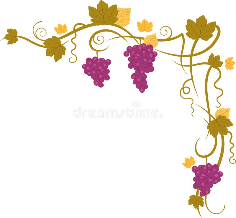 Calligraphy Grapes Corner Frame Stock Vector - Illustration of vintage ...