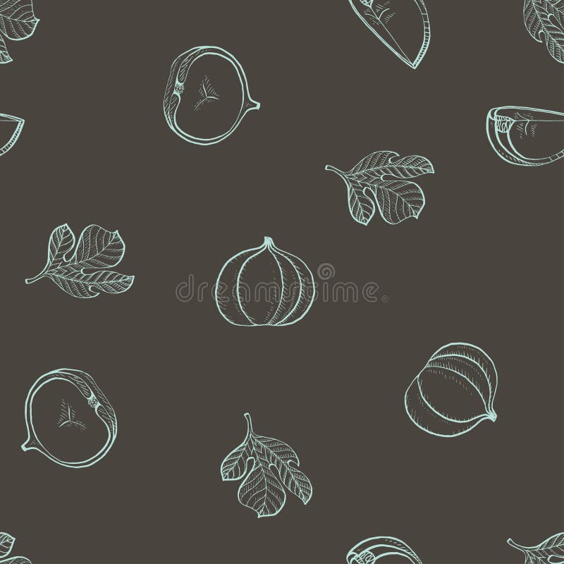 Calligraphy Monochrome Fig Brown Pattern Stock Vector - Illustration of ...